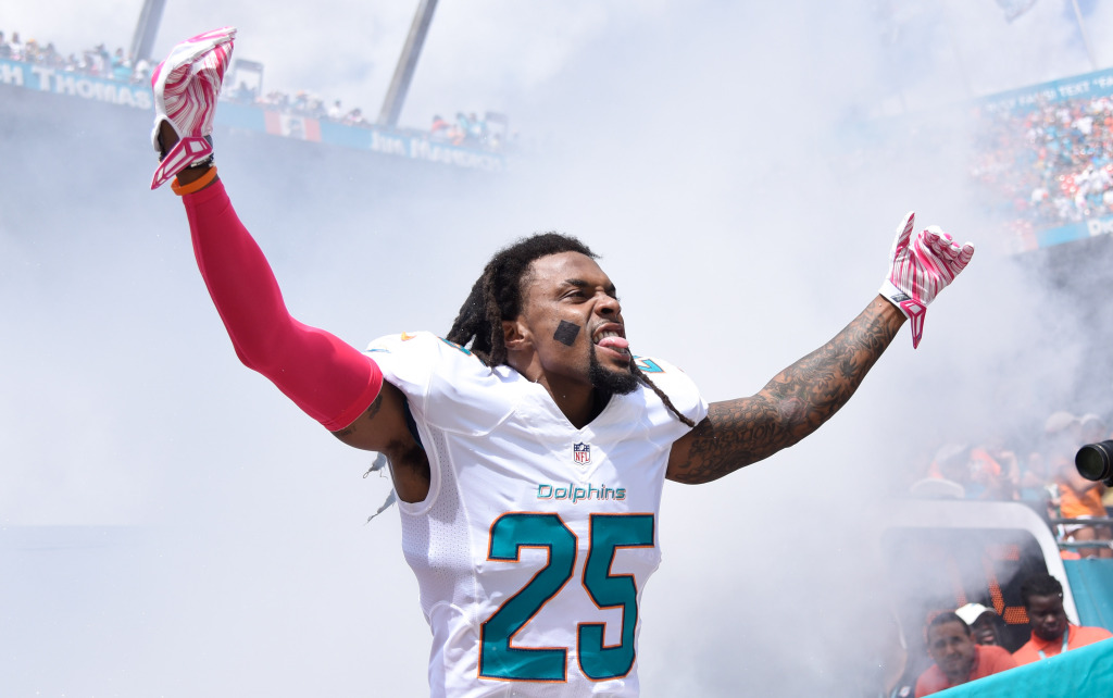 Dolphins Re-Sign Louis Delmas, LaMichael James