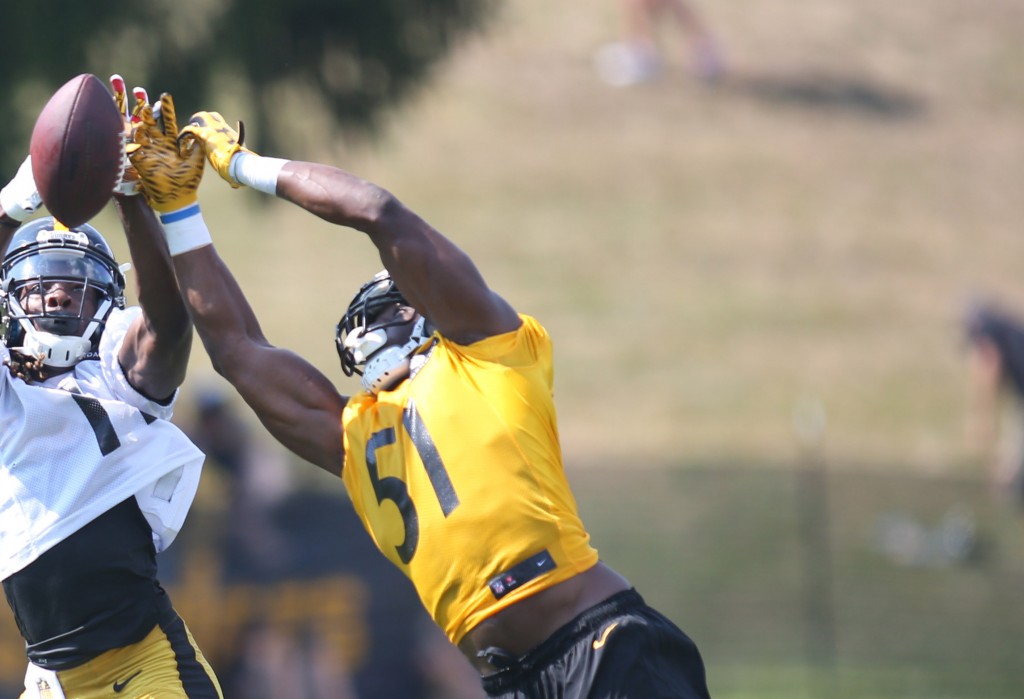 Steelers Place LB Steve Johnson On IR