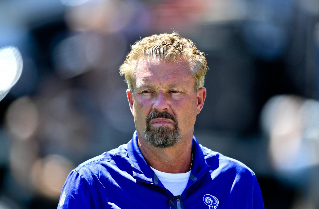 Browns Hire Gregg Williams As DC