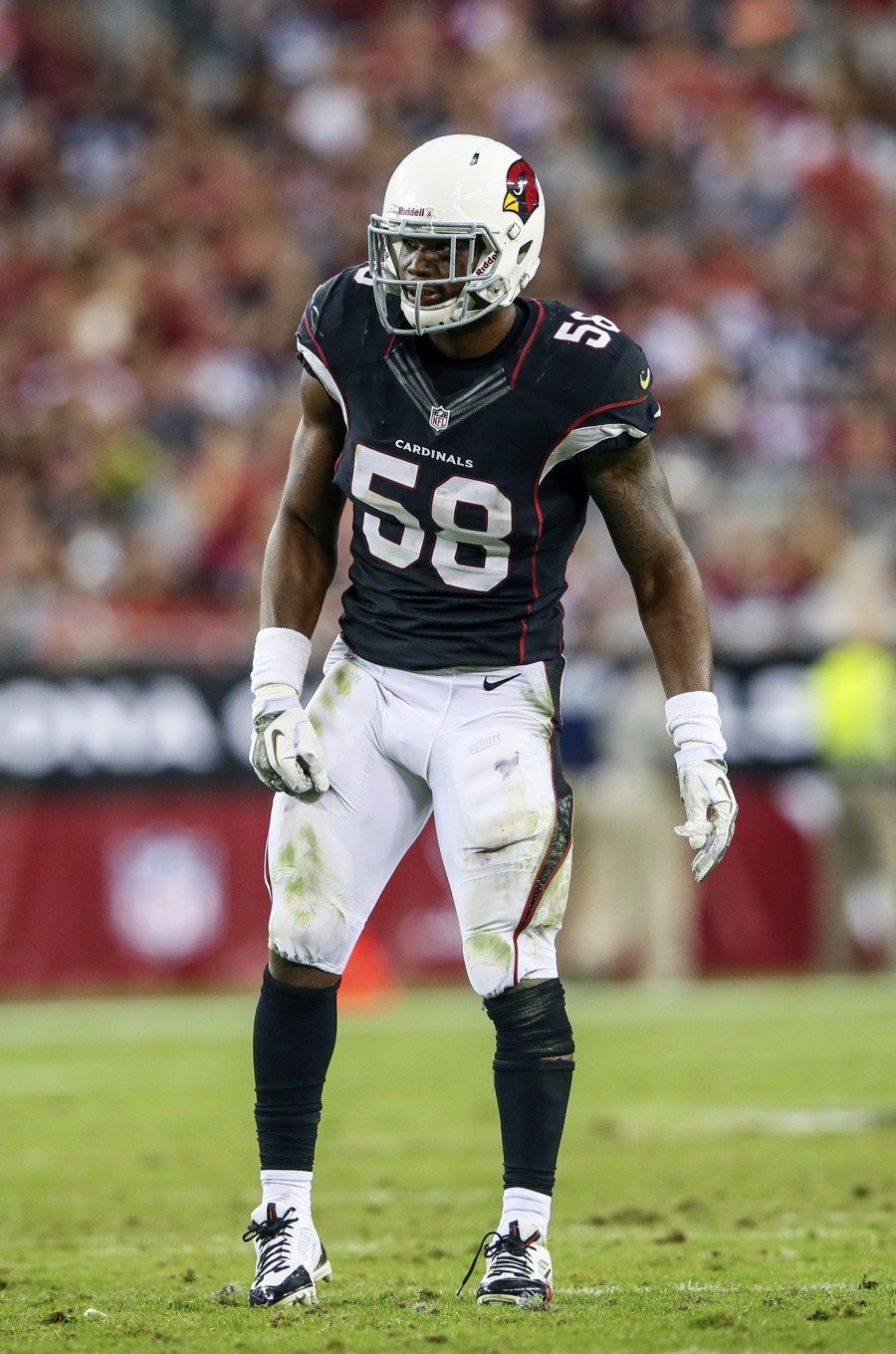 Cowboys Not Interested In Daryl Washington