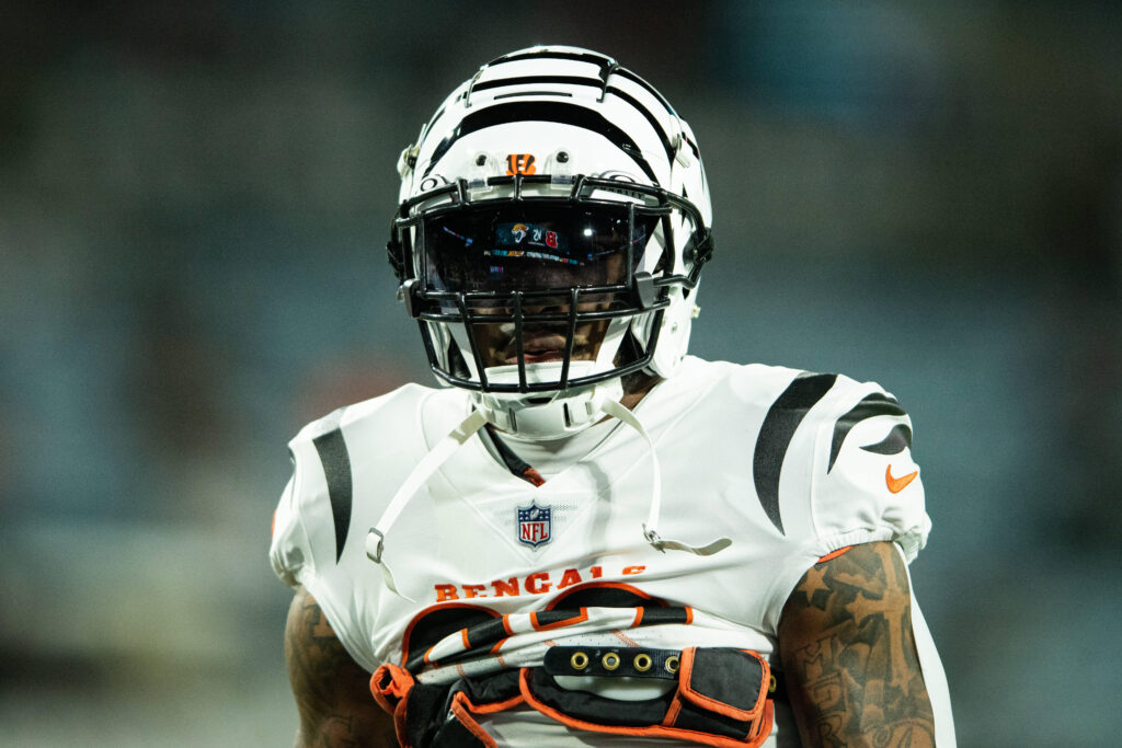 Bengals Release S Nick Scott