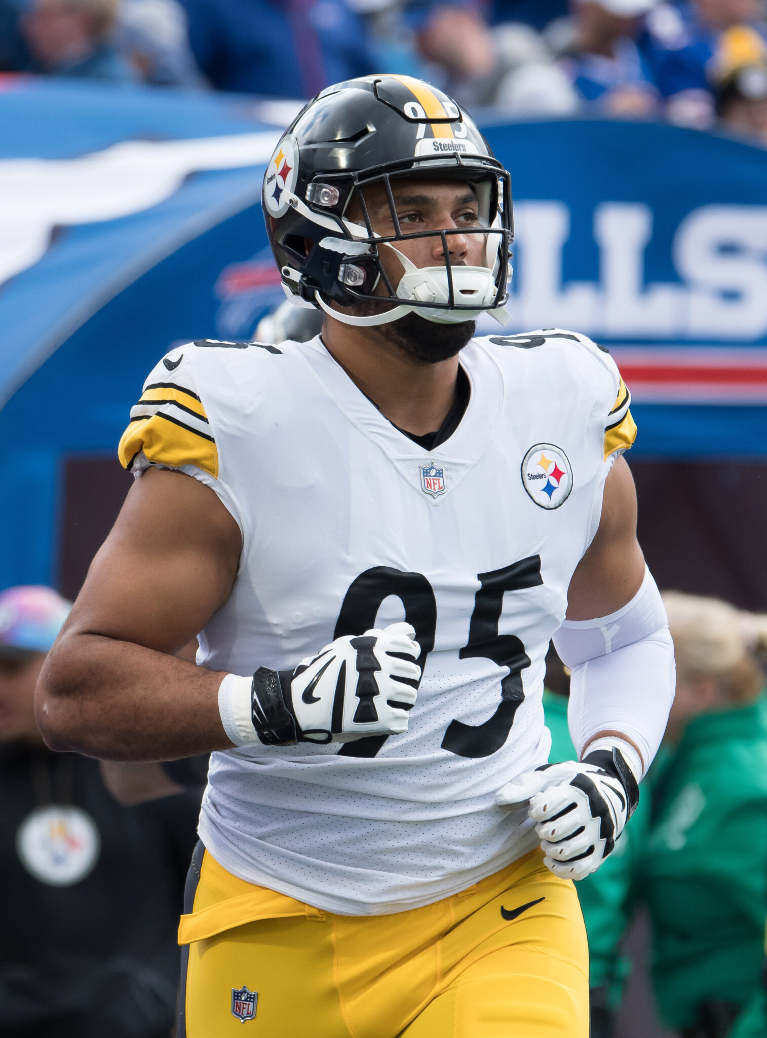 Ravens To Sign DL Chris Wormley