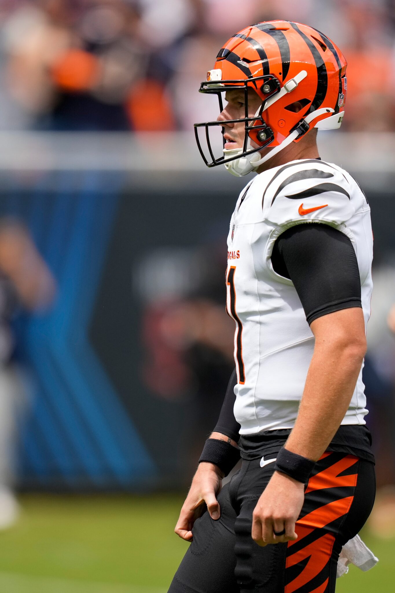 Bengals Re-Sign QB Logan Woodside