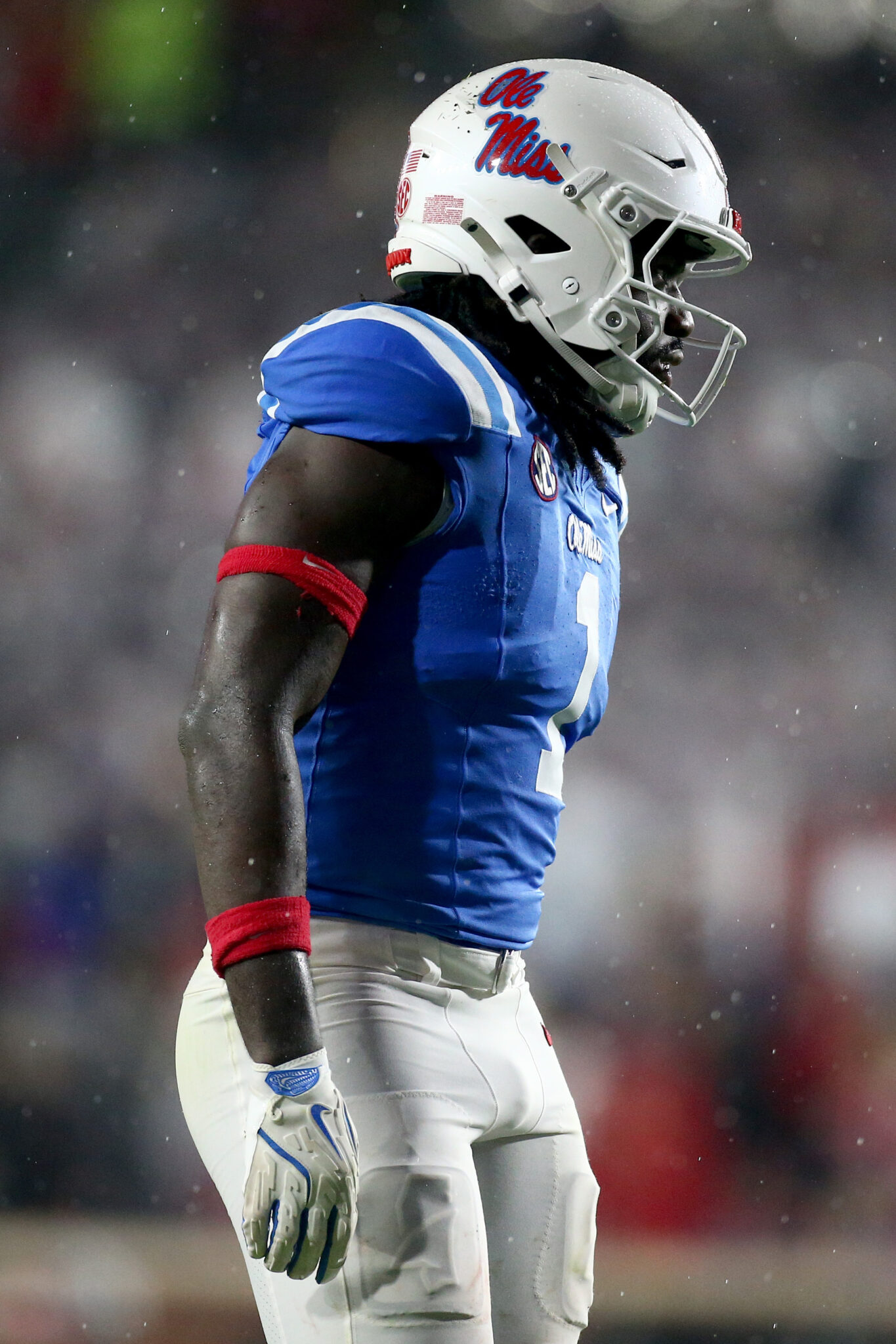 Offseason In Review: Carolina Panthers